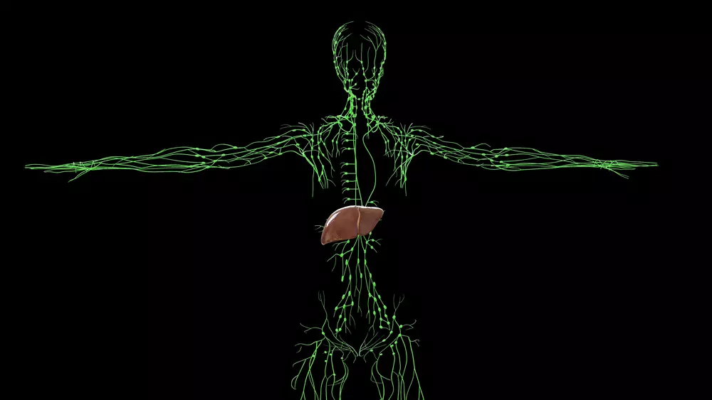 Dibana neSistim yakho yeLymphatic: Inxalenye engundoqo ye-Immune System