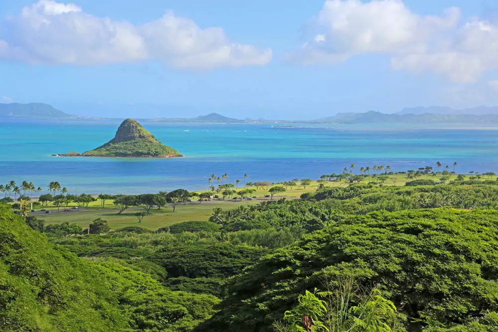 Masana kimiyya sun gano 'Supercorals' na Hawai suna bunƙasa cikin Dumi, Ruwan Acid