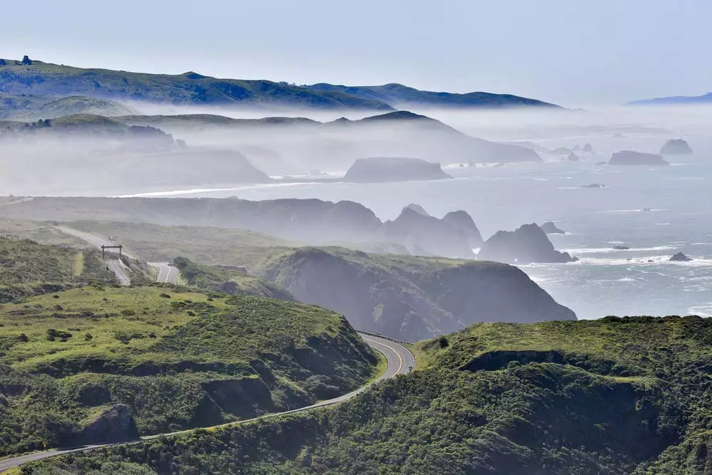 Klimaændringer driver marine arter nordpå, ændrer Californiens kyst