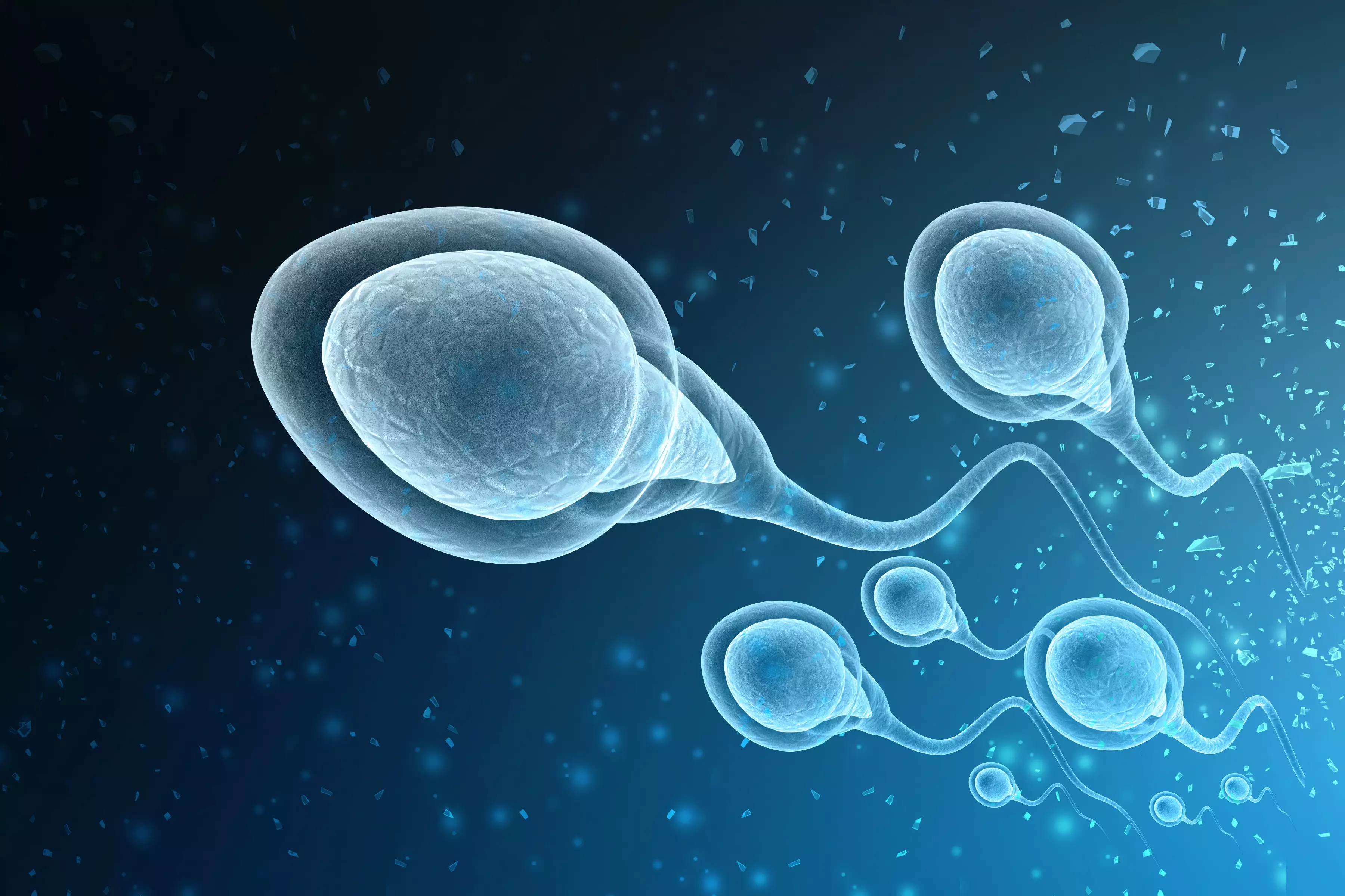 Sperm Sayıları Düşüyor. İnsan Irkı Tehlikede mi?