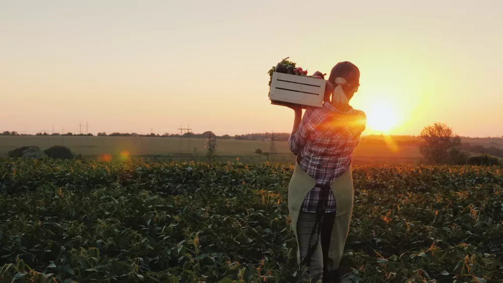 Os produtos ecolóxicos son máis nutritivos que as froitas e verduras cultivadas convencionalmente?