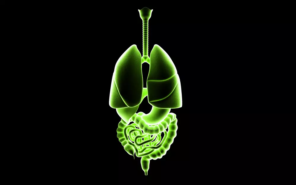 Lub plab-Lung Axis: Yuav Ua Li Cas Koj Cov Microbiome Yuav Txuas Rau Kev Noj Qab Haus Huv