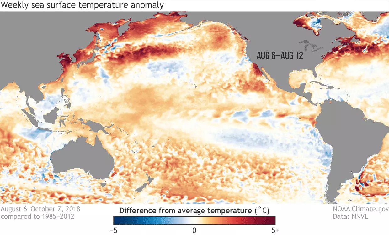 La visualización de las temperaturas del océano Pacífico muestra que El Niño se está gestando, lo que anuncia posibles impactos del clima invernal