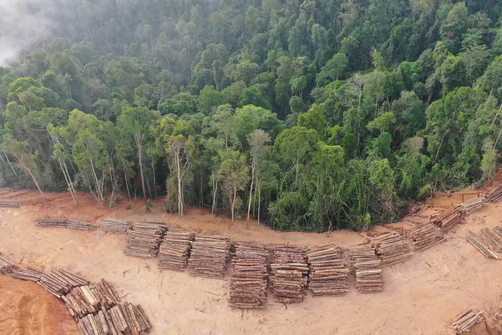 Los científicos dicen que el cambio climático seguirá provocando brotes de enfermedades