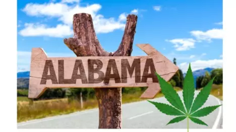 Ali je Delta-8 THC zakonit za nakup v Alabami?