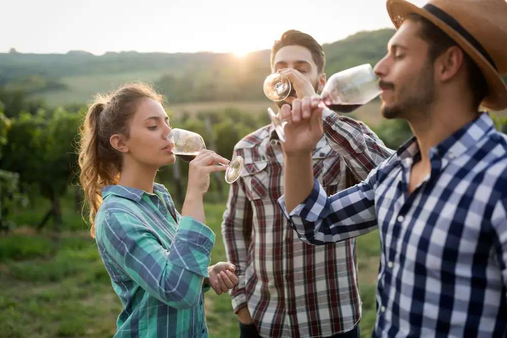 Gli scienziati ci dicono come essere migliori degustatori di vino