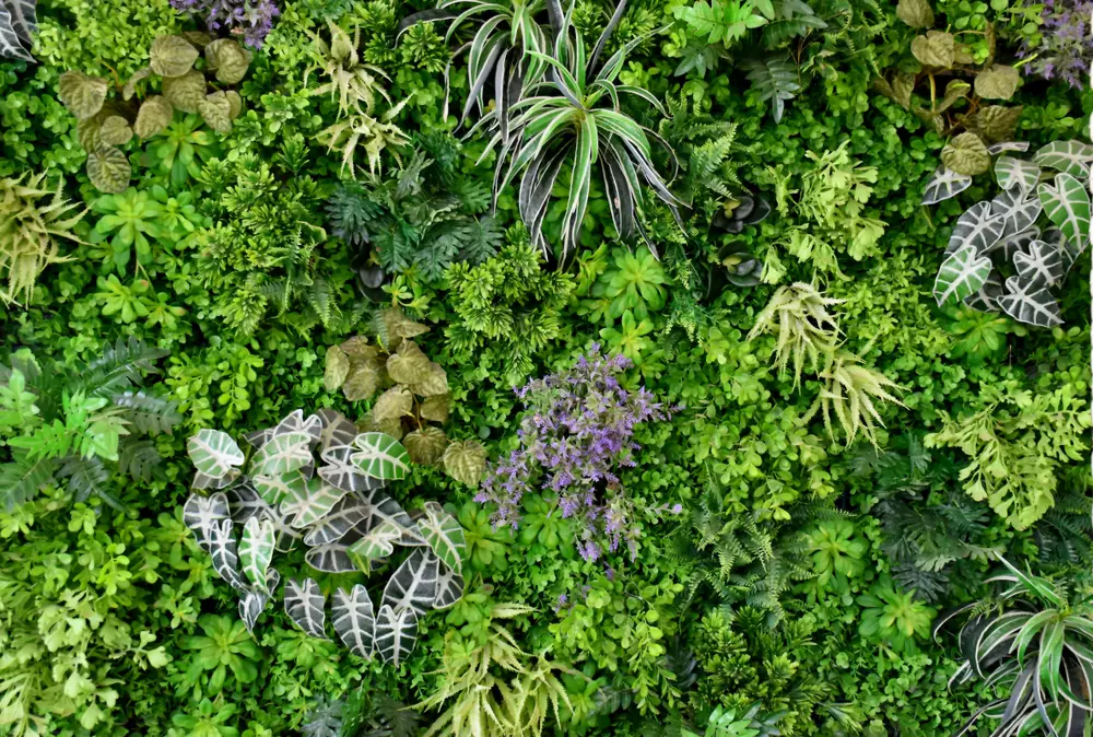 Klimatske promjene će drastično promijeniti Zemljinu vegetaciju