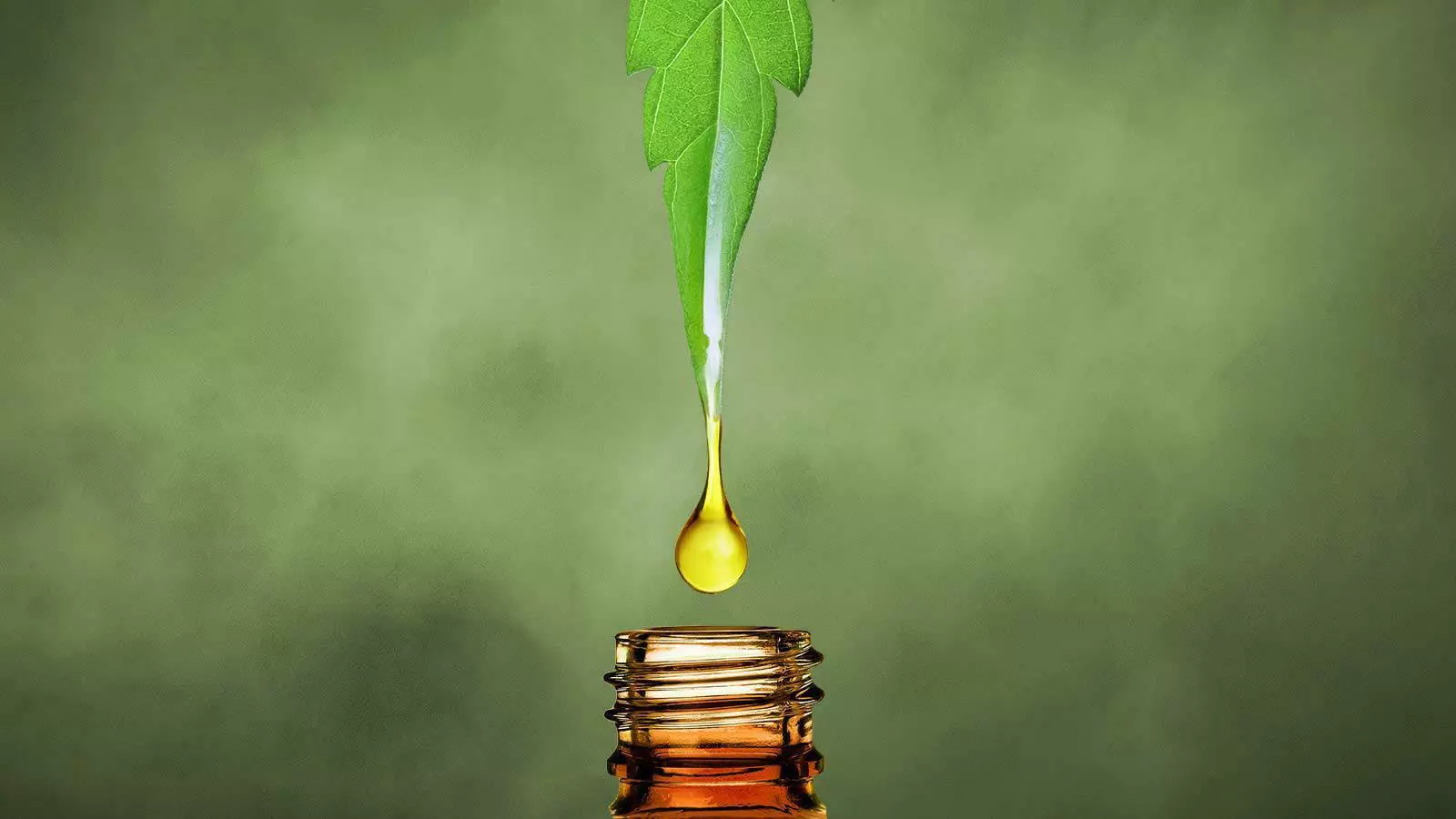 CBD Oil UK: Scopri gli 8 migliori oli di CBD nel Regno Unito per il 2021