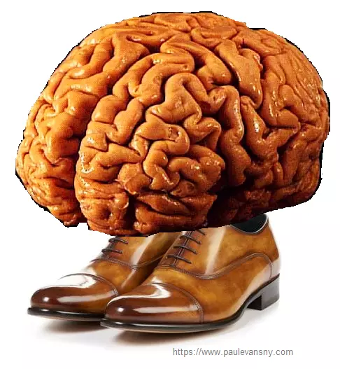 Neuroscience's Shoe Saga