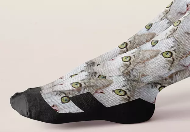 12 geriausių pritaikytų kačių kojinių