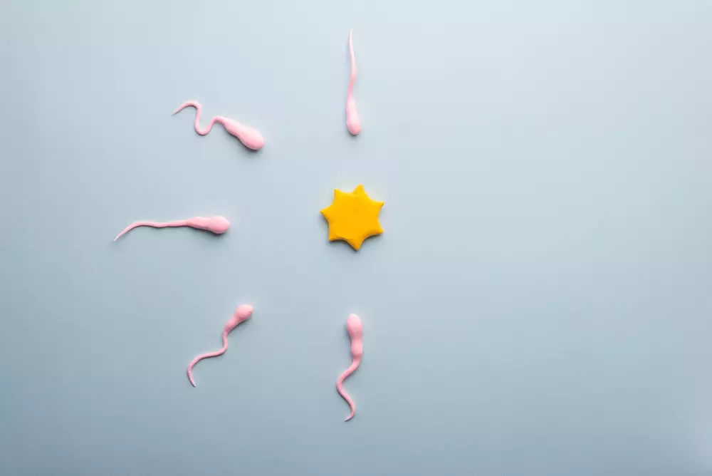 Dlaczego męski układ rozrodczy uniknął kontroli urodzeń?