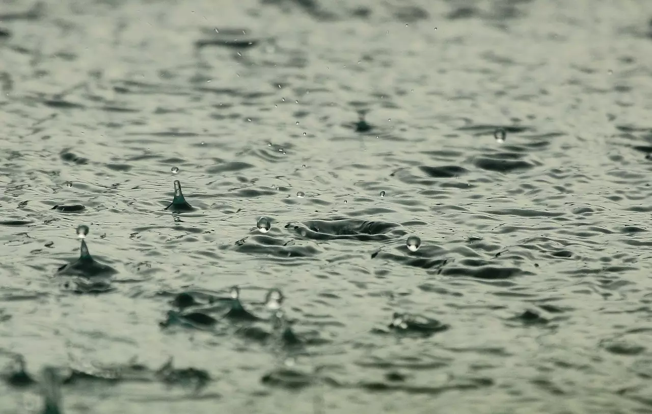 هل مياه الأمطار آمنة للشرب؟ الجريان السطحي الذي جمعه المتطوعون يقدم أدلة