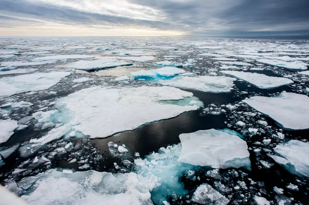 La Arkto ne estas tiel varma dum 3 milionoj da jaroj - kaj tio antaŭsignas grandajn ŝanĝojn por la cetero de la planedo.