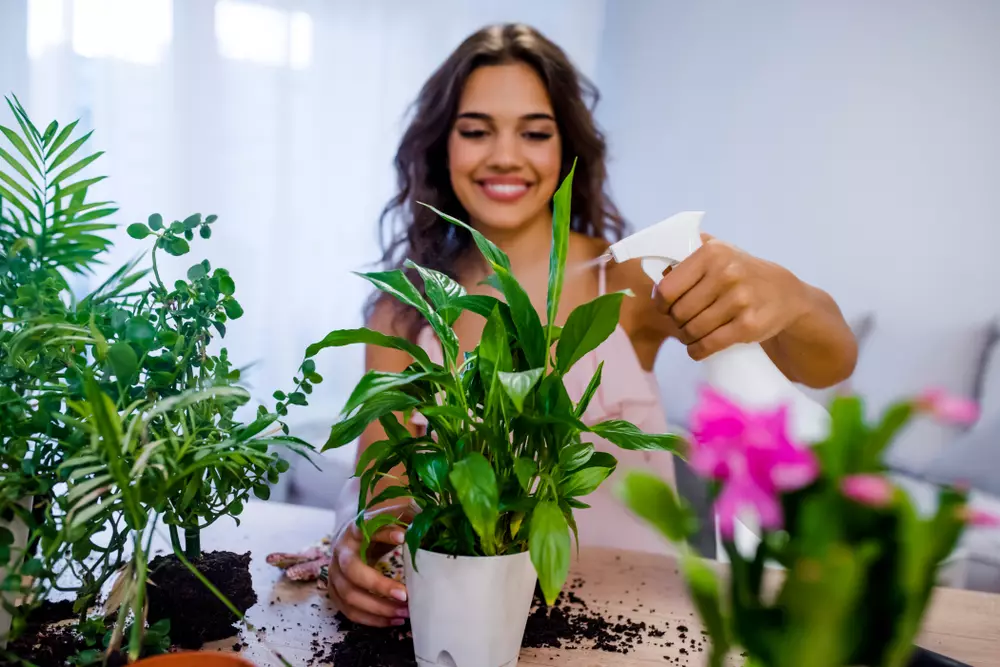 Водич за родитеље за младе биљке за решавање уобичајених проблема са кућним биљкама