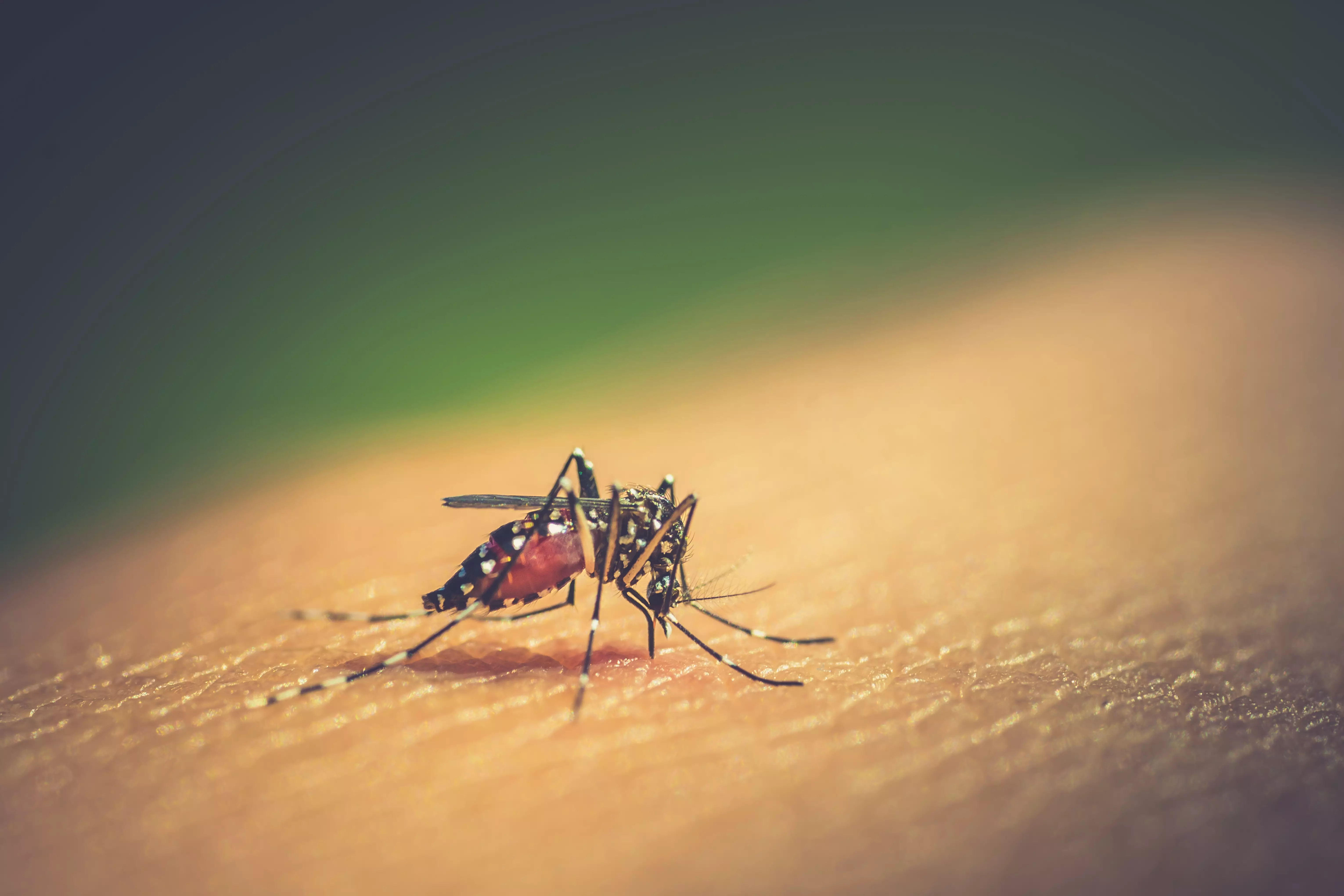 Faksin foar malaria kinne spultsje-wikselers wêze