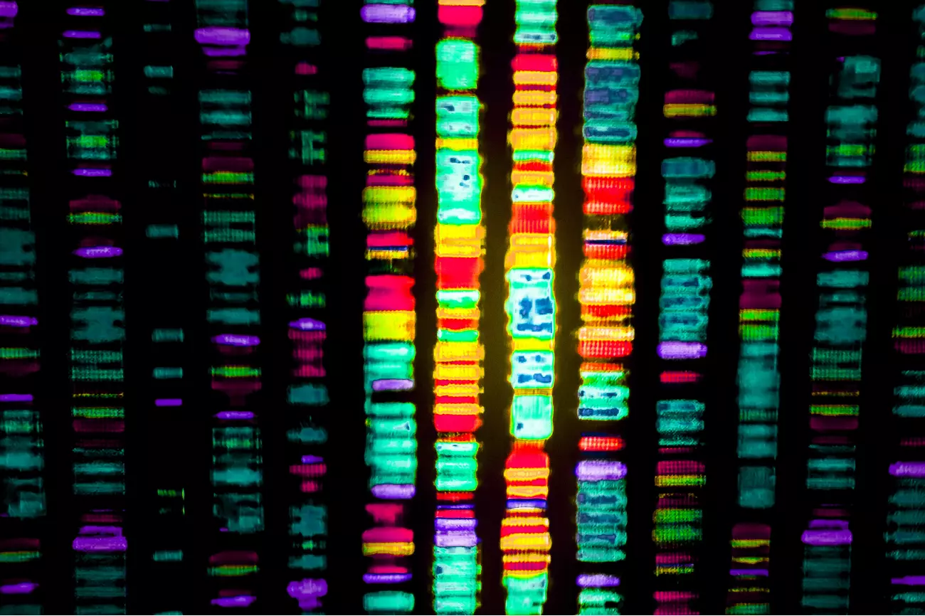 Dovršavanje ljudskog genoma