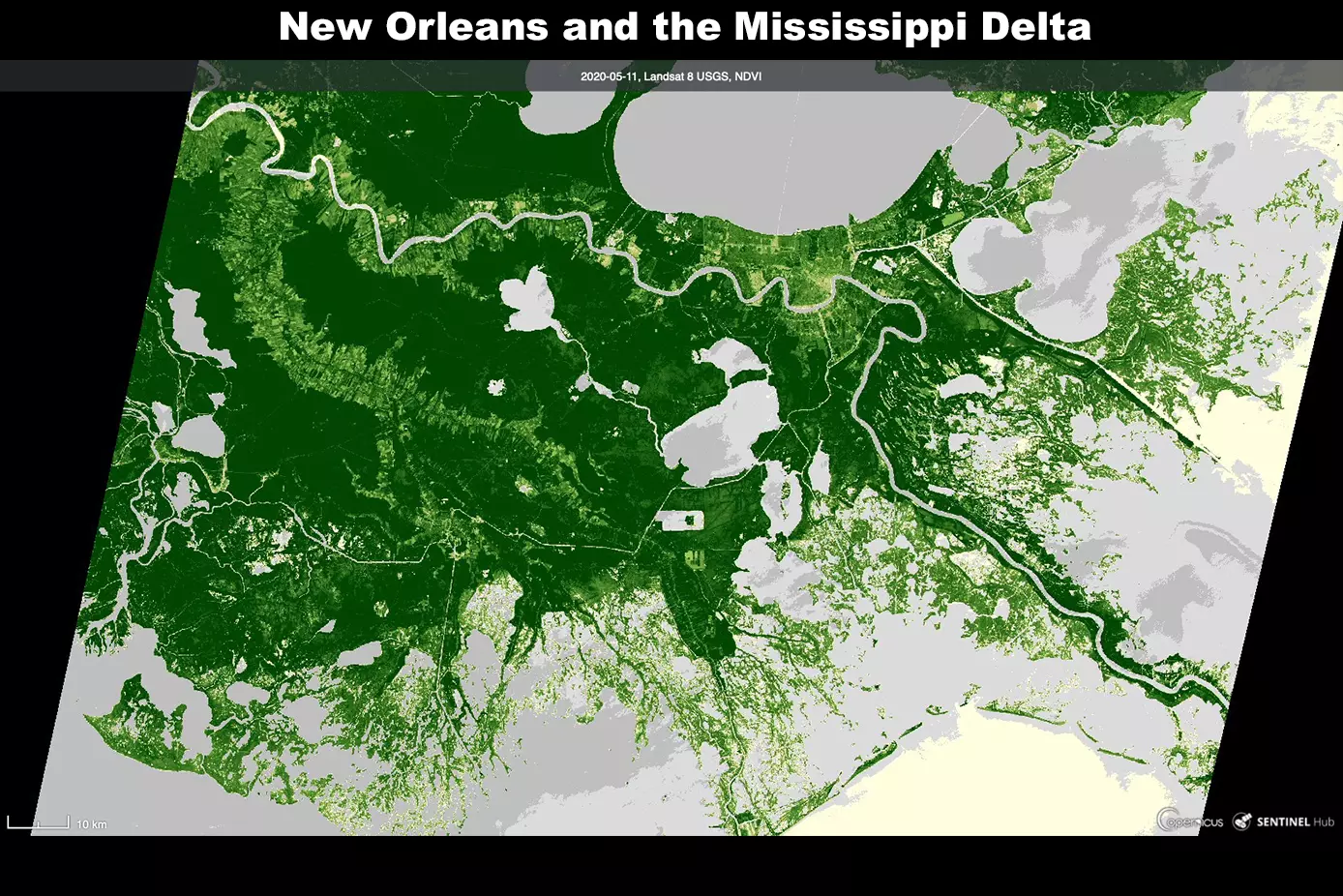 Drukning av myrene som beskytter New Orleans er 'uunngåelig', viser ny forskning