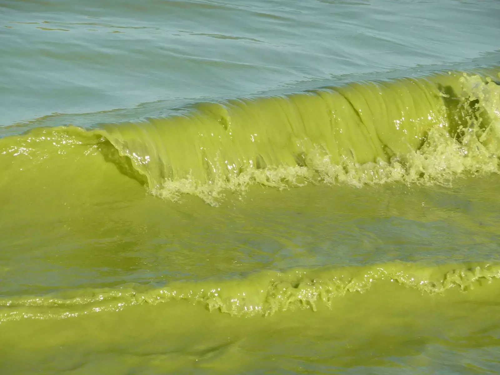 การเปลี่ยนแปลงสภาพภูมิอากาศคุกคามคุณภาพน้ำดื่มทั่ว Great Lakes