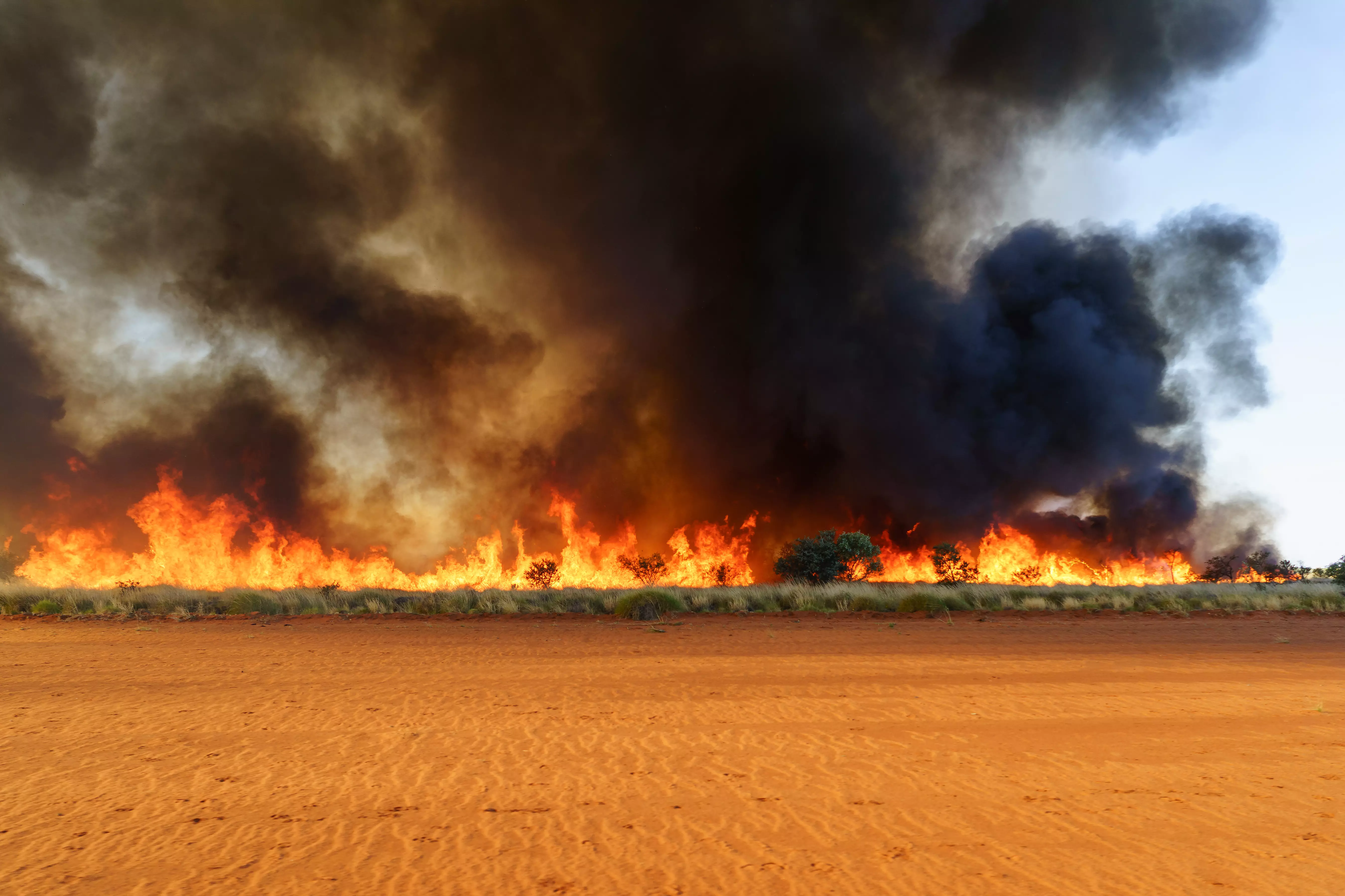 Laang nodeems d'Flamen erausgaange sinn, bleift de Wildfire Smoke a säin Impakt - Och wa mir et net gesinn