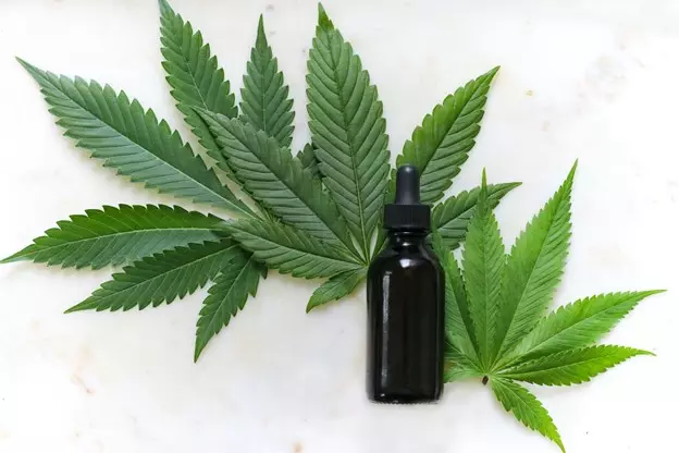 CBD VS THC: Kumpletong Gabay At Mga Inirerekomendang Produkto