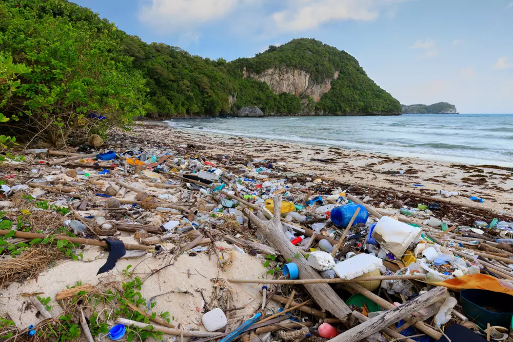 Näme üçin köp plastik çüýşeler elýeterli adada ýuwulýar? Alymlaryň pikiriçe, bu gämiler