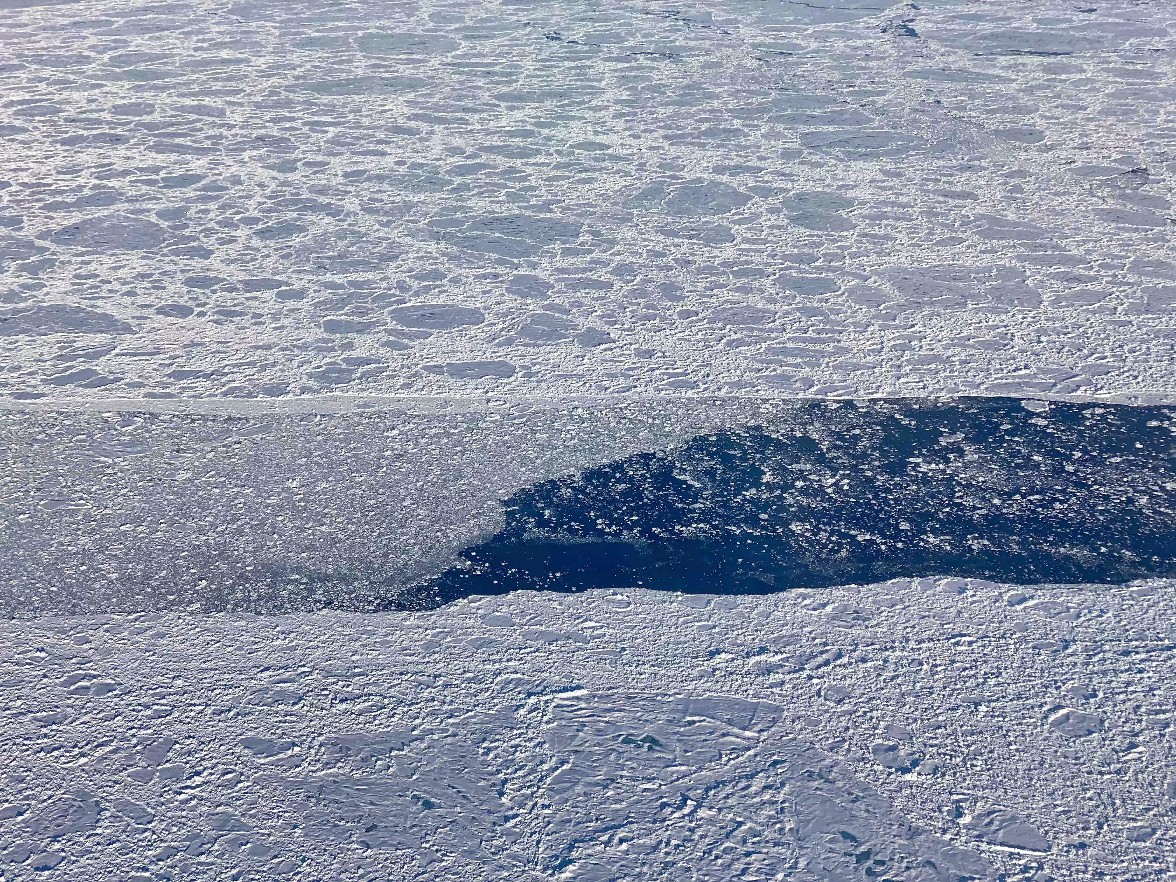 I-Arctic Sea Ice Yehlela Kuzinga Lesibili Eliphansi Kakhulu Kurekhodi