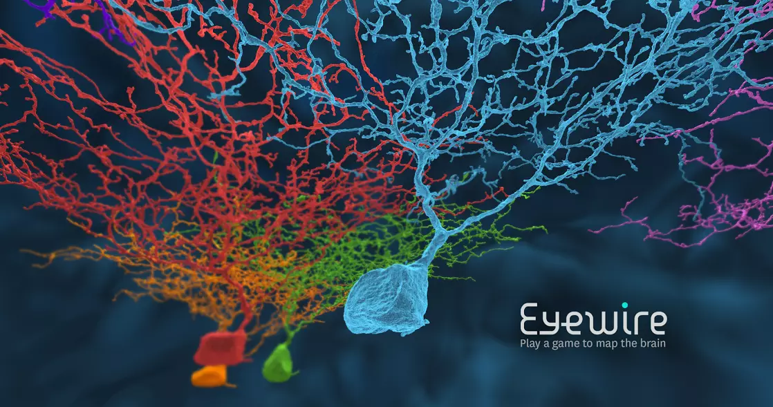 Neuroshkenca e fuqizuar nga qytetari me projektin EyeWire - Përdorimi i neuroneve tuaja për të hartuar trurin!