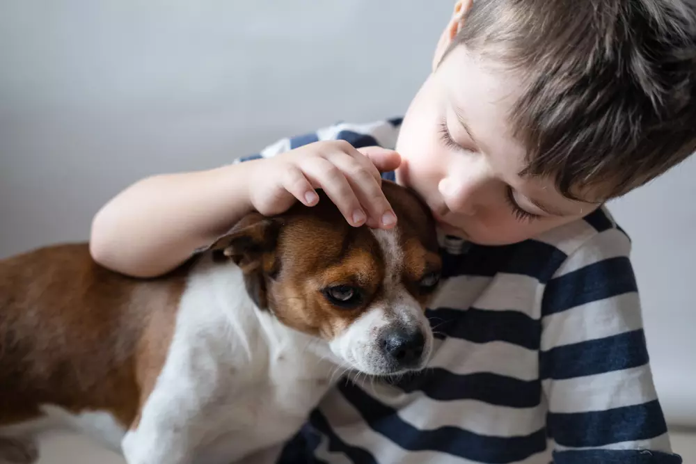 Ĉu Infanoj, kiuj Misuzas Bestojn, estas Destinitaj Fariĝi Seriaj Murdistoj?