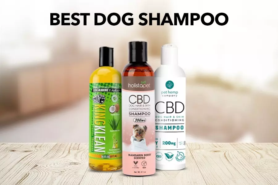 Meilleur shampooing pour chien – Meilleures marques examinées