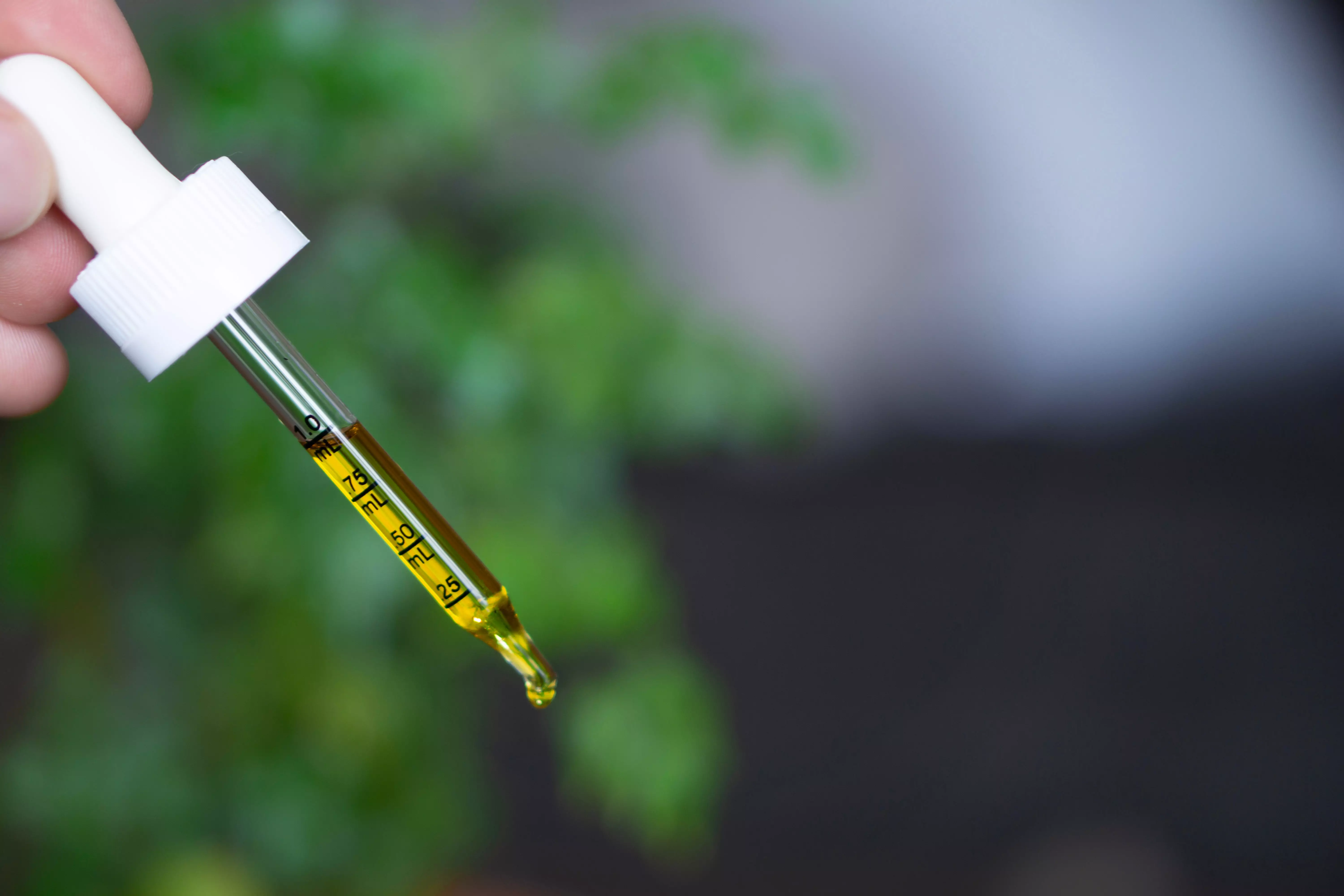 CBD-olie: Die 5 beste CBD-handelsmerke in die VK nagegaan in 2021