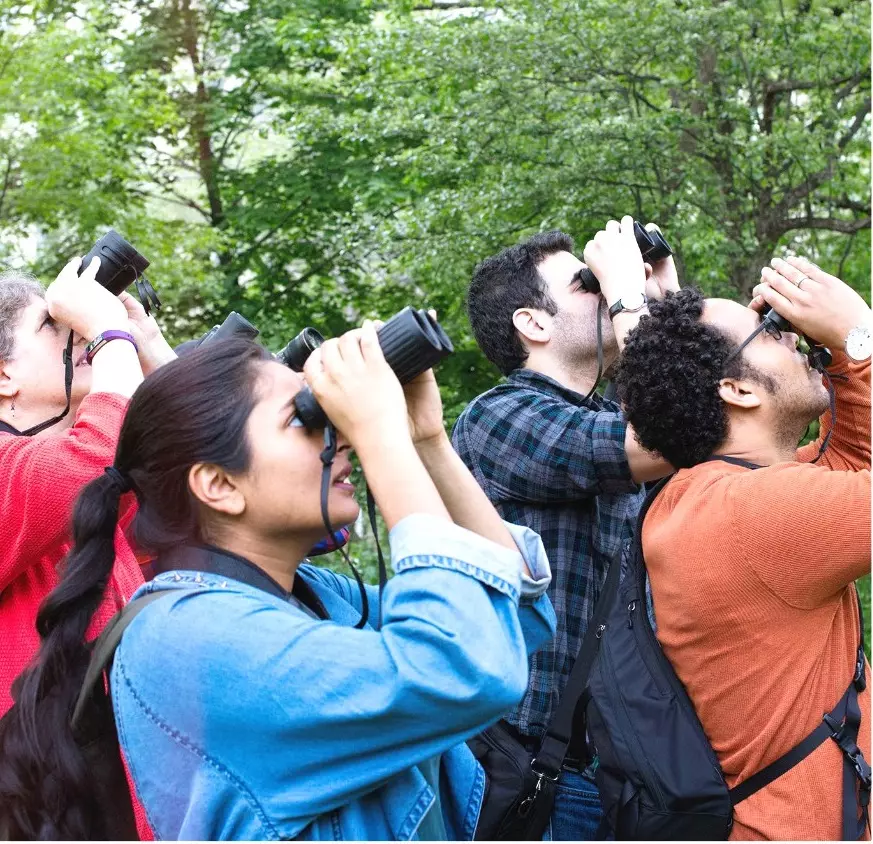 ជួយ Audubon ការពារសត្វស្លាបដែលគំរាមកំហែងដោយការចូលរួមក្នុងកម្មវិធីឃ្លាំមើលអាកាសធាតុ